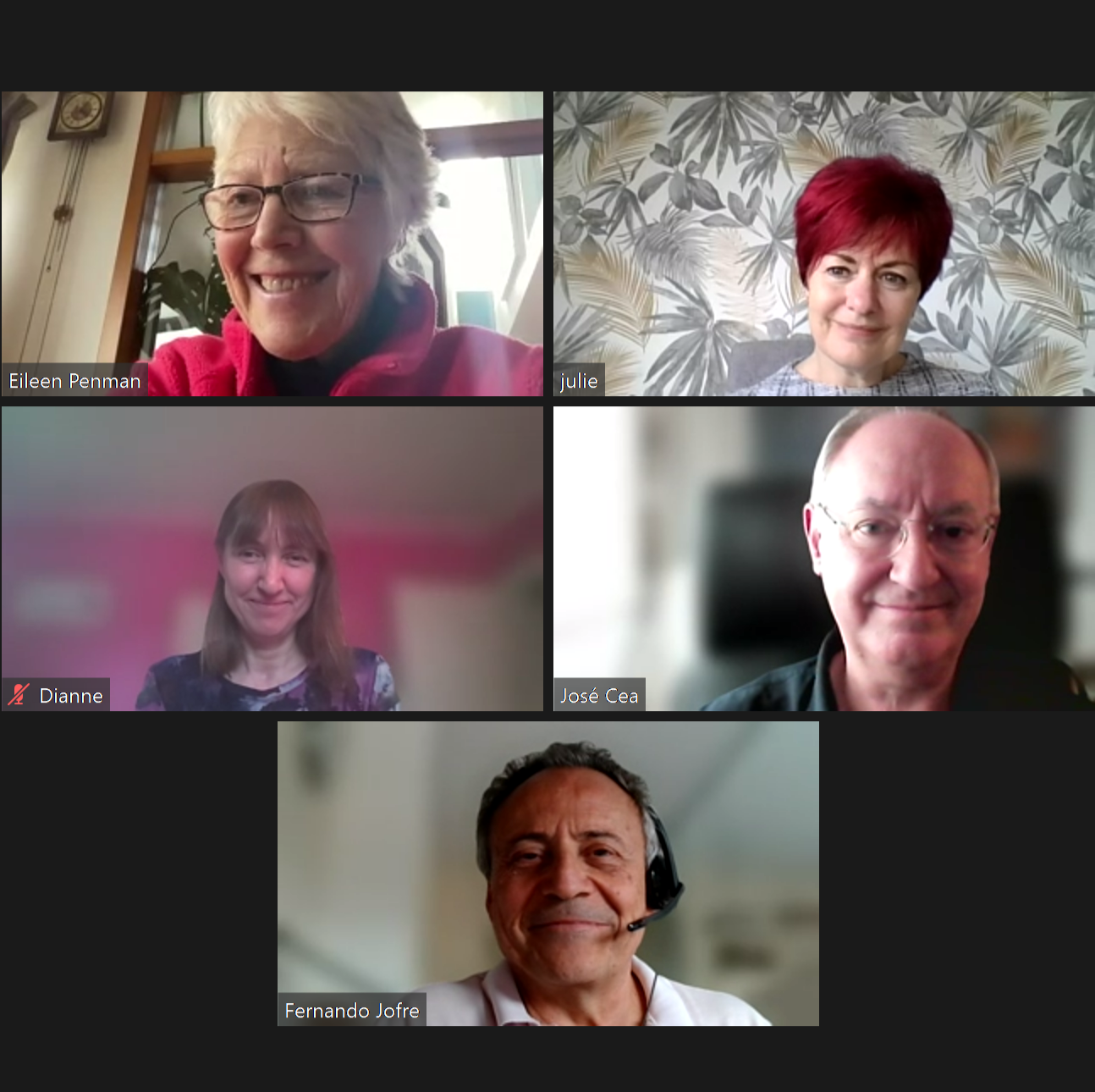 The eBRAIN-Health Public and Patient Advisory Group members gather online for another ...